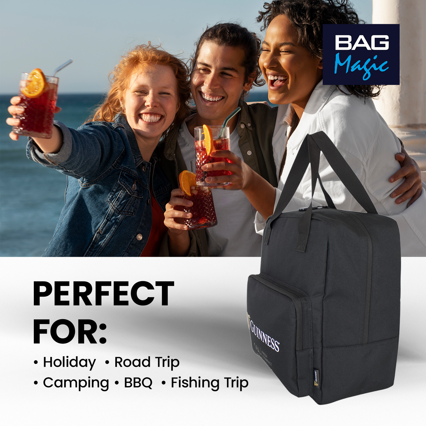 Guinness Cooler Bag 16L Insulated Black Picnic BBQ Lunch Travel Ice Bo ...